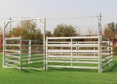 China Sheep Fence Panels Goat Fence Panels 1.6m 4 Rails for Pasture Smallholding for sale