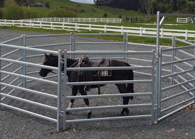 China Galvanized Livestock Fence Panels Cattle Corral Panel Set for Riding Arenas for sale