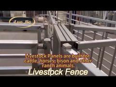 anti impact galvanized livestock fence panels multi terrain for large cattle / horse ranches