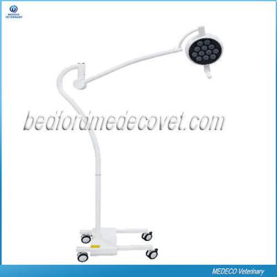 China ECOG053 LED Operating Light Veterinary LED Checking lamp for sale