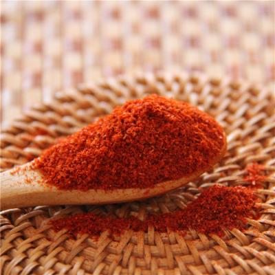 China halal food Halal assured sweet red pepper powder superior quality paprika red powder with no spent for sale