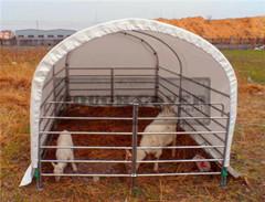 China Cattle Barns,3m(10') wide Livestock Barns,Housing for sale