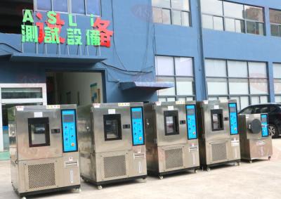 Cina Camera programmabile di umidità di temperatura con la finestra di visualizzazione di 350*450 millimetro in vendita