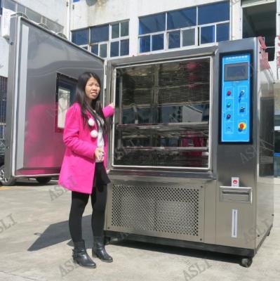 Cina Camera programmabile di umidità di temperatura con la finestra di visualizzazione di 350*450 millimetro in vendita