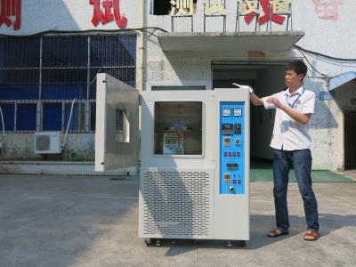 Cina Camera di prova ambientale del touch screen, camera di combustione di Ventilatore-Invecchiamento SAT-45 in vendita