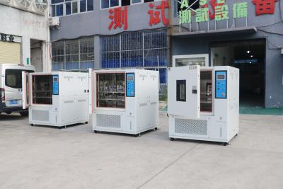 Cina Camera di umidità di temperatura di comunicazione di RS232 RS485 per la prova di stabilità della medicina in vendita