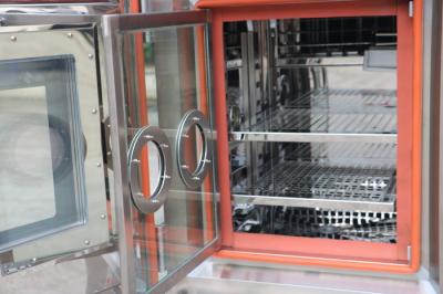 Cina Camera massima minima programmabile di umidità di temperatura di tocco, attrezzatura di prova di riscaldamento del forno d'invecchiamento in vendita