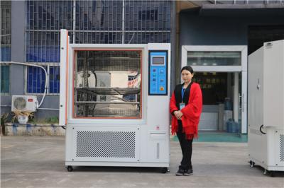 Cina Camera di prova su misura di controllo di umidità di tocco per l'apparecchio elettrico in vendita