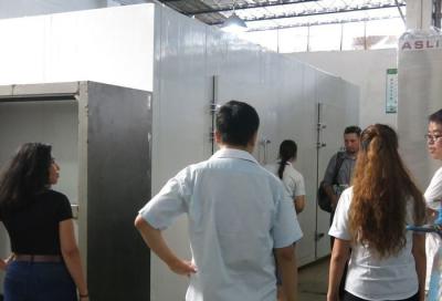 Cina Passeggiata su misura in camera di prova di umidità di temperatura della camera climatica con il sistema di allarme in vendita