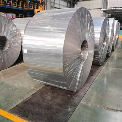Cina Spte Grade Custom Made Tin Plate Coil con servizio di lavorazione del taglio in vendita