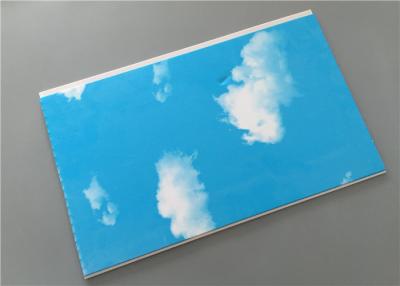 China Blue Sky Garage Organization Wall Panels , Laminate Wall Panels For Bathrooms for sale