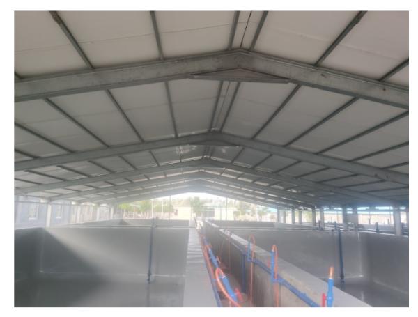 Quality Waterproof Insulated Sandwich Panel Fire Resistant EPS Foam Roof Sandwich Panel for sale