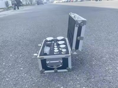 中国 エッセンシャルF1ステンレス鋼 1g-2kgの校正重量セット 尺度校正と試験 販売のため