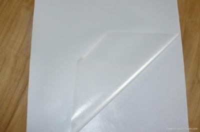 China pvc self adhesive vinyl sticker roll,cold lamination film for photo print protection for sale