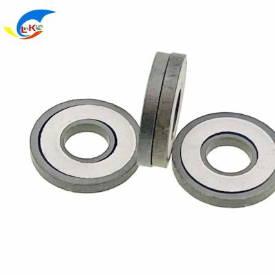 Cina Termistori PTC di tipo disco come elementi di riscaldamento con rivestimento in argento e alluminio in vendita