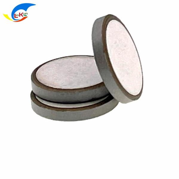 Quality 16*2.5MM PTC Thermistor For Refrirator Relay 22 Ohm Start Chip for sale