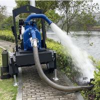 China Small Diesel Water Pump High Performance Slurry Pump Sewage Treatment Trash Water Pump Set for sale