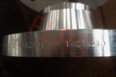 China Raised Face Welding Neck Flange Super Duplex Stainless Steel A182 F51 / UNS S31803 for sale