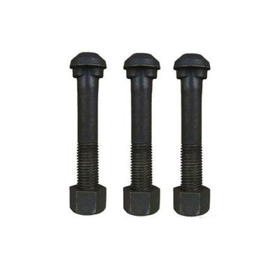 Cina Round Head Rail Fish Bolt DIN 5903 - 1/ Elliptic Neck Track Bolts ASME B18.10 in vendita