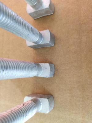 Cina Materiale per bullone a testa in T personalizzato di grado 4.8 galvanizzato a caldo in vendita