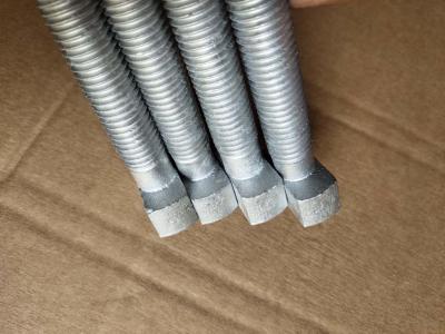 Cina Materiale per bullone a testa in T personalizzato di grado 4.8 galvanizzato a caldo in vendita