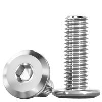 China Hexagon Socket Large Flat Round Head Screws for sale