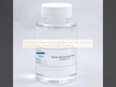 High Effective Water Decoloring Agent with 45%-55% Purity and 50% Solid Content for Water Treatment
