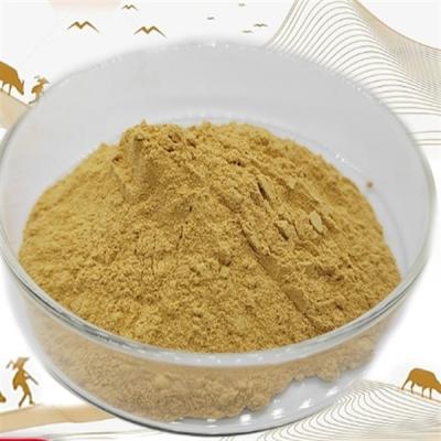 China Ashwagandha Extract with Adaptogenic Properties for Immune Support and Anti-Inflammatory Benefits for sale