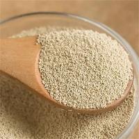 Quality Instant Dry Yeast with Fast Fermentation Speed, Long Shelf Life, and Small for sale