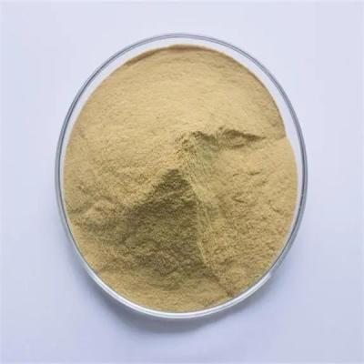 China Celite Diatomite Filtration Aid Absorbent Material and Flow Agent for Industrial Applications for sale