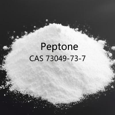 China Peptone Protein Hydrolysate CAS 73049-73-7 Nutrient Source for Culture Medium Component in Microbiology for sale