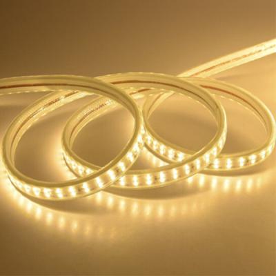 China 2 Years - Flexible LED Strip Light - PCB 10MM - LED Type Flexible Light Strip for sale