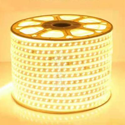 China 2 Years - Flexible LED Strip Light - PCB 10MM - LED Type Flexible Light Strip for sale