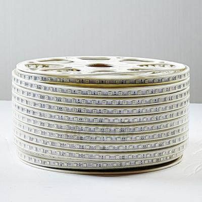 China Lichtstroom 800LM/M RGB LED Flexible Strip Light Spanning DC110V/V220 met Te koop