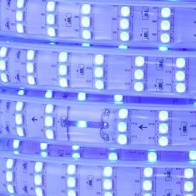 China Lichtstroom 800LM/M RGB LED Flexible Strip Light Spanning DC110V/V220 met Te koop
