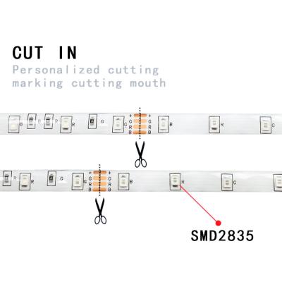 Cina Hot Sell Smd3528 2835 300leds Rgb 5m Set Ip65 Color Remote Controller Led Strip Light Set Per Festa in vendita