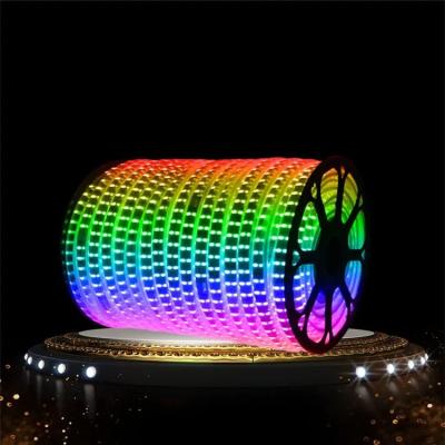中国 240V/230V/110V/220V RGB 5050 リモート付きIP65プラスチックボディ付きランドスケープ用LEDストライプライト 販売のため
