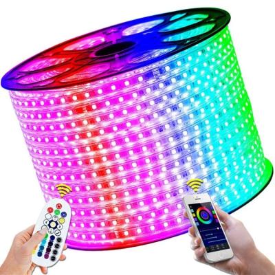 中国 240V/230V/110V/220V RGB 5050 リモート付きIP65プラスチックボディ付きランドスケープ用LEDストライプライト 販売のため