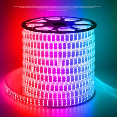 中国 240V/230V/110V/220V RGB 5050 リモート付きIP65プラスチックボディ付きランドスケープ用LEDストライプライト 販売のため