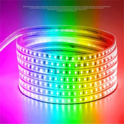 中国 240V/230V/110V/220V RGB 5050 リモート付きIP65プラスチックボディ付きランドスケープ用LEDストライプライト 販売のため