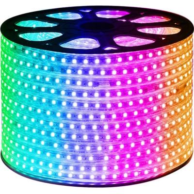 中国 240V/230V/110V/220V RGB 5050 リモート付きIP65プラスチックボディ付きランドスケープ用LEDストライプライト 販売のため