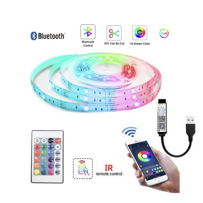 Cina 24 tasti Bluetooth Controllo 5m RGB LED Strip Light Set per l'illuminazione del paesaggio del magazzino in vendita