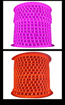 China 85 Ra Luz de banda LED longitud personalizada 50m/100m Rollos con cuerdas de luz de conector de cobre en venta