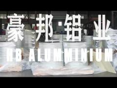 vlog 16