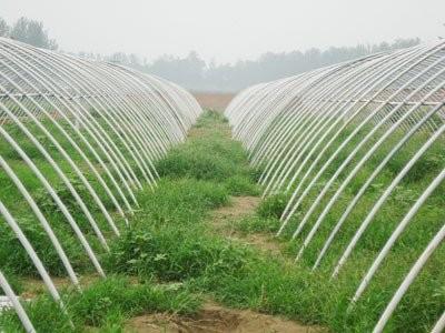 UV-Resistant Anti-Aging FRP Fiberglass Garden Support Stakes High Strength Corrosion-Resistant Replace Wood/Metal