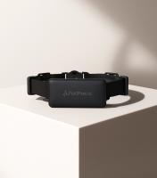 Quality Rechargeable Intelligent Pet Collar Offering Long Battery Life and Accurate GPS for sale