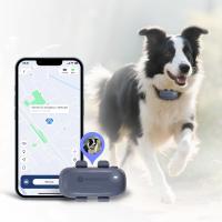 Quality Lightweight Pet GPS Tracking Device Compact Easy Attach Providing Continuous for sale