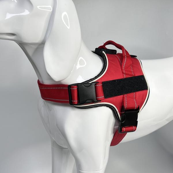 Quality Padded No Pull Dog Harness Soft Material Prevents Chafing Adjustable Straps Durable Construction Suitable for All Breeds for sale