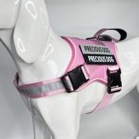 Quality Lightweight No Pull Dog Harness Featuring Quick Release Buckles and Ergonomic for sale