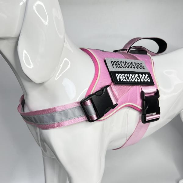 Quality Lightweight No Pull Dog Harness Featuring Quick Release Buckles and Ergonomic Design for Easy Walks for sale